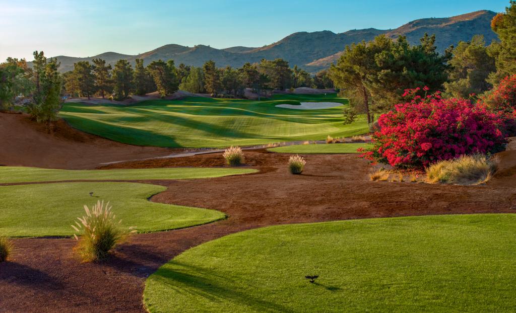 Raven Transformation Site - Country Club Membership